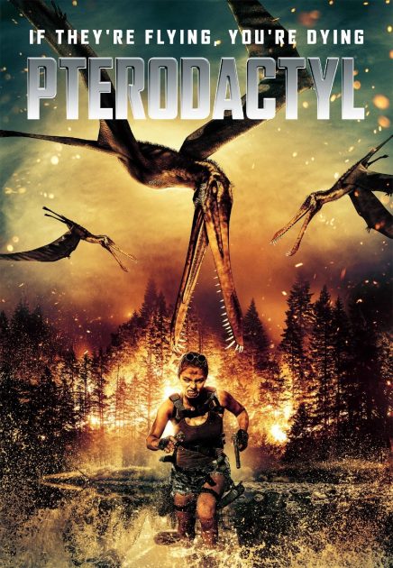 The Film Catalogue | Pterodactyl The Film Catalogue | Pterodactyl