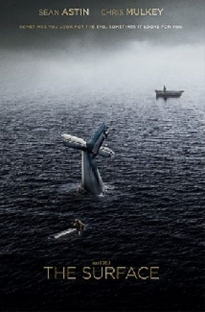 The Film Catalogue | The Surface