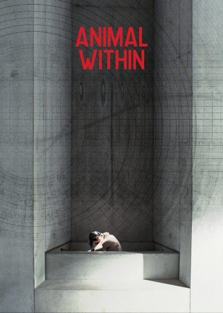 The Film Catalogue | Animal Within