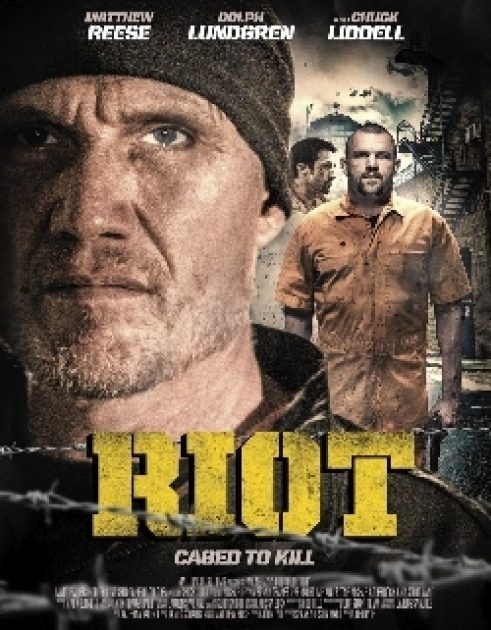 The Film Catalogue | RIOT