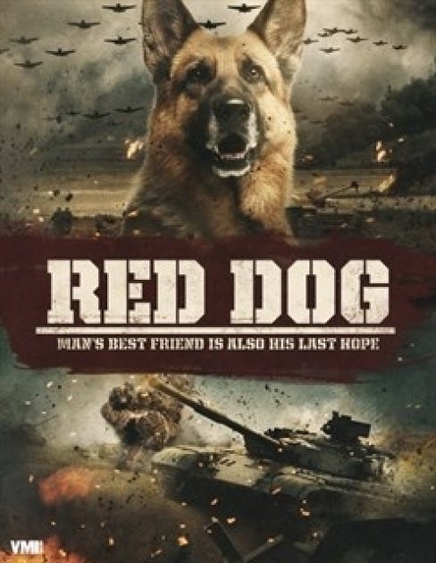 The Film Catalogue | Red Dog