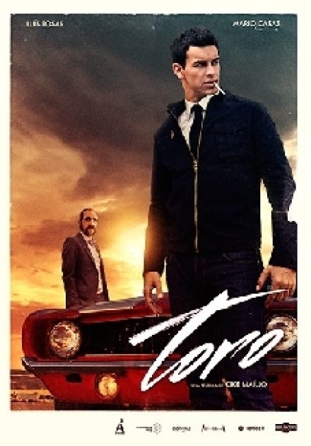 The Film Catalogue | Toro