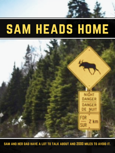 The Film Catalogue | Sam Heads Home